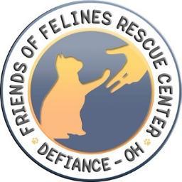 FFRC Stream and Chat